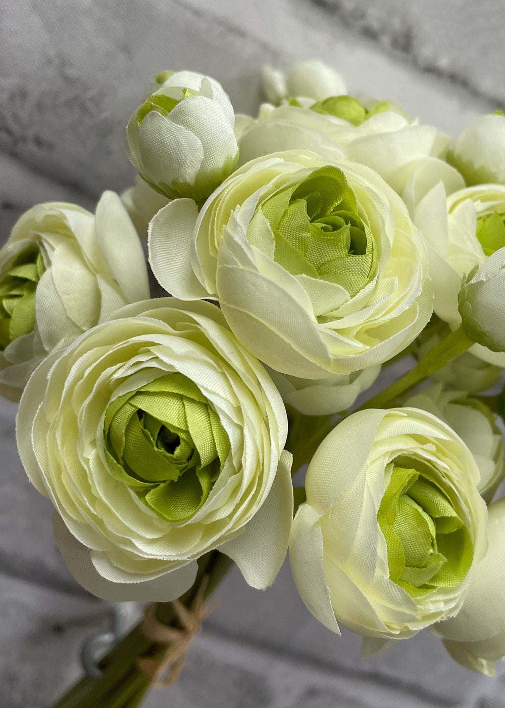 ITEM 00972 GR - 11" GREEN RANUNCULUS - 6 STEMS PER BUNDLE · Tri W Imports