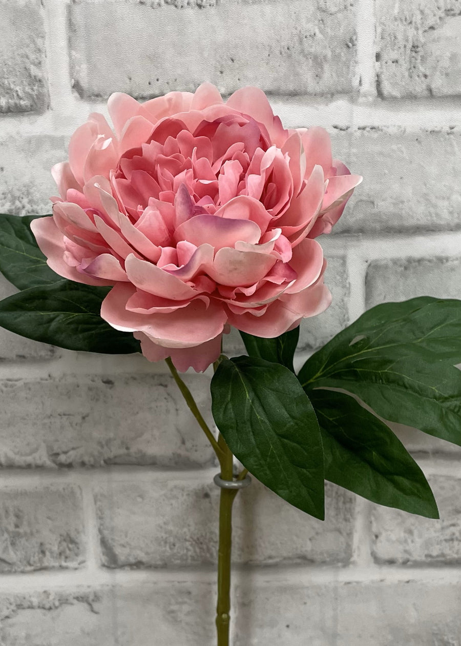 ITEM 01007 PINK - 23" PINK FRESH TOUCH PEONY STEM · Tri W Imports