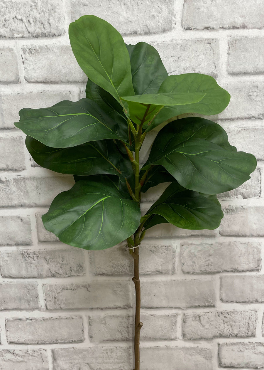 ITEM 11455 - 33" FIDDLE LEAF FIG STEM · Tri W Imports