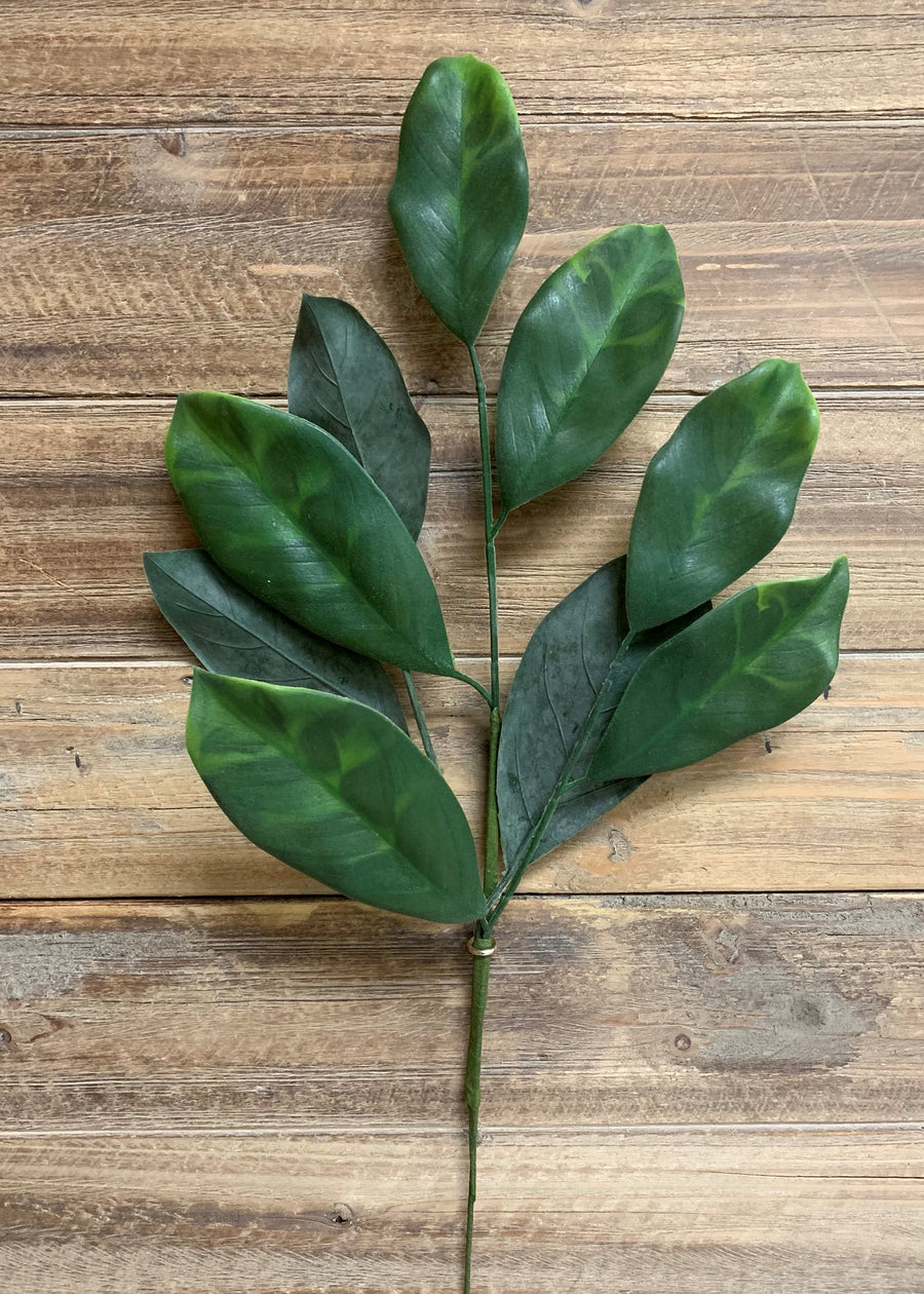 ITEM 11342 - 20" MAGNOLIA LEAVES SPRAY WITH 9 LEAVES · Tri W Imports