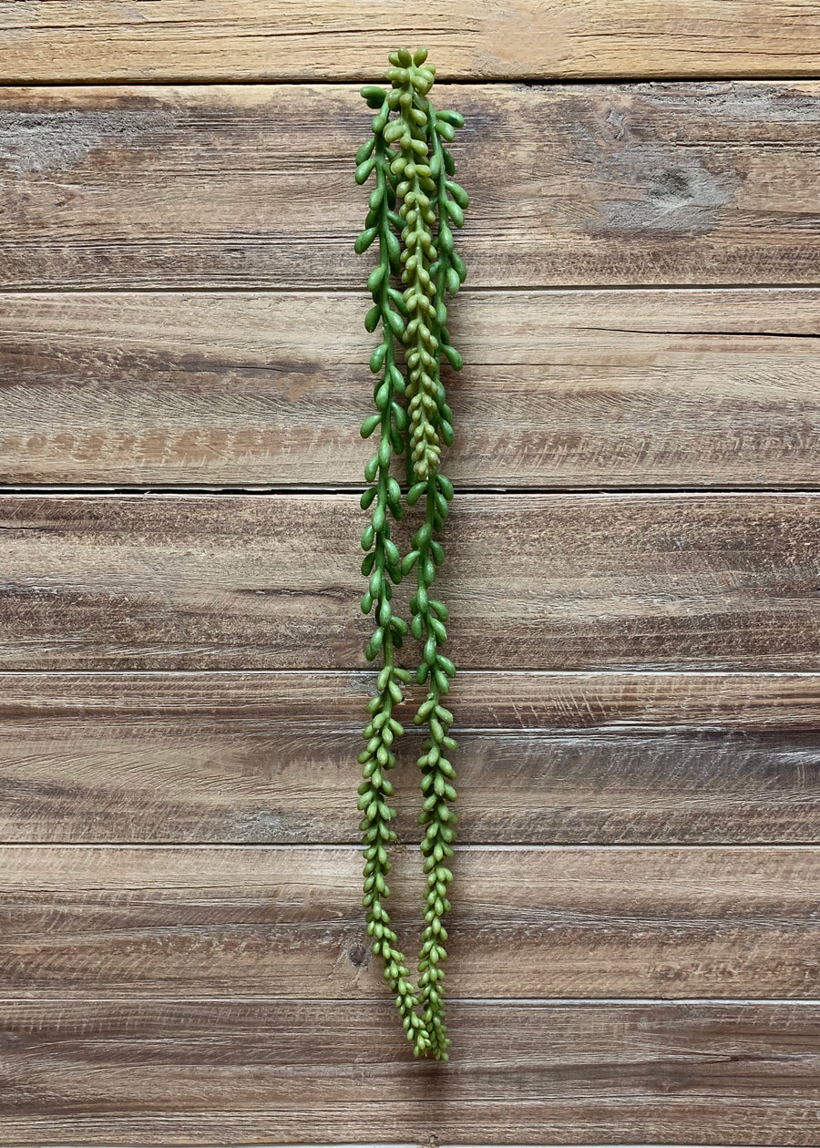 ITEM 11381 - 26" NERTERA BERRY HANGING PICK · Tri W Imports